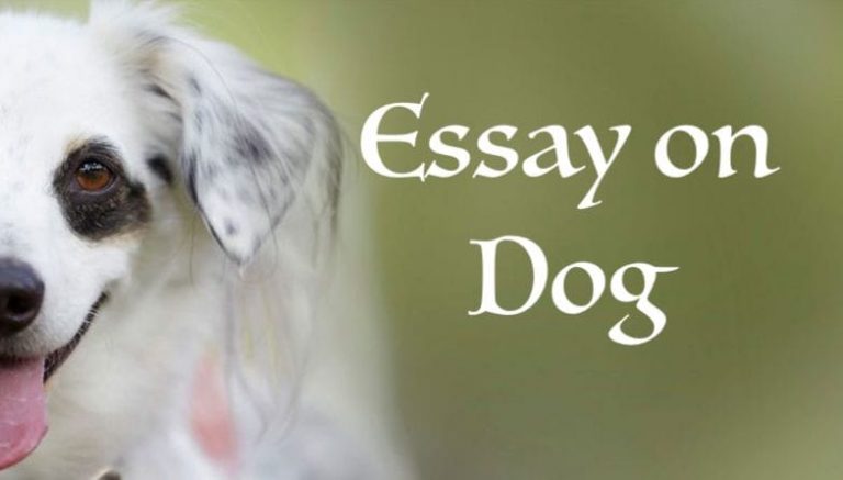 Essay on Dog in English Languge for Students in 300 Words