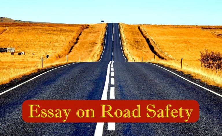 Essay on Road Safety in English for Students 300 Words